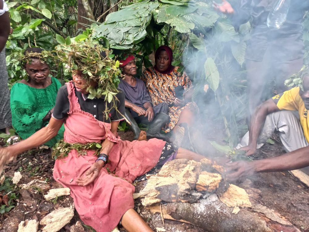 ‘We died the day we left the forests’: Documenting the collective ...