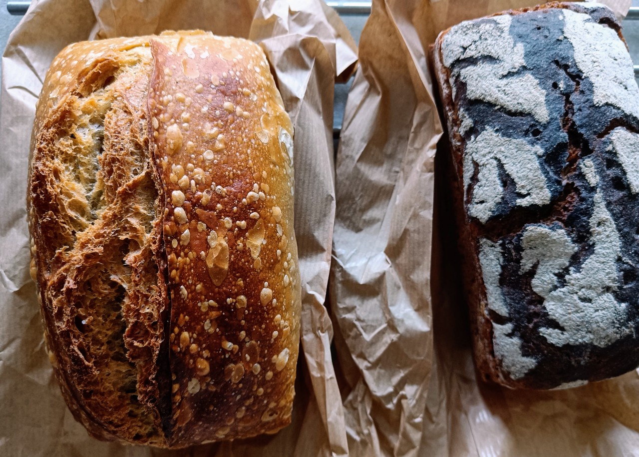 The transformative power of food - Leiden University
