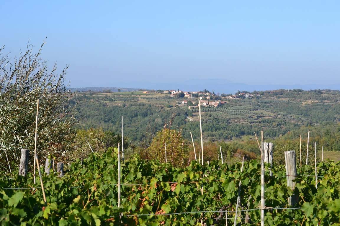 Broken Promises and Precarity in a Small Croatian Farming Community ...