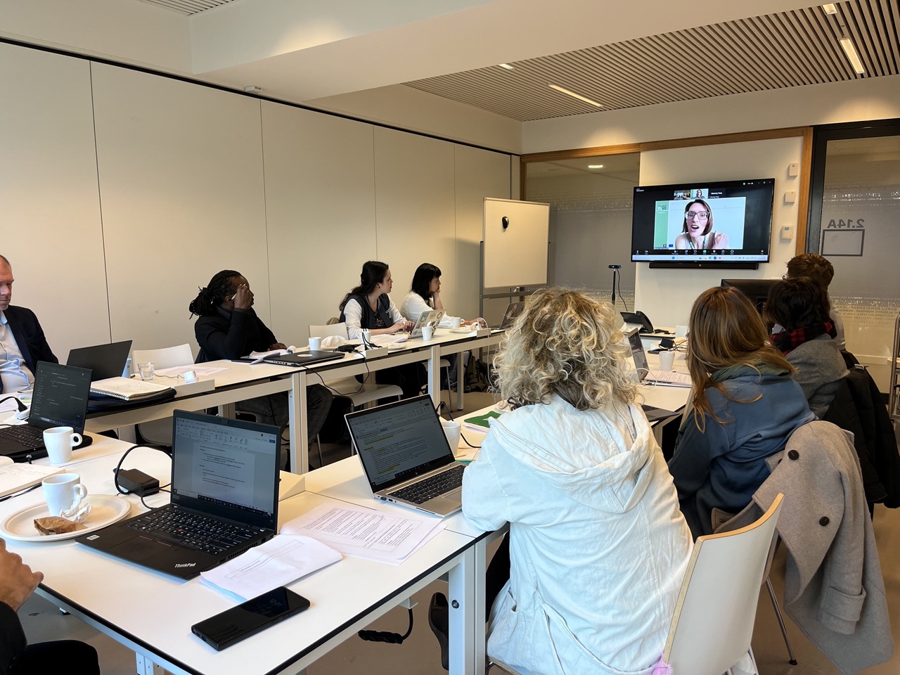 International Climate Finance: Innovation, Collaboration, and ...