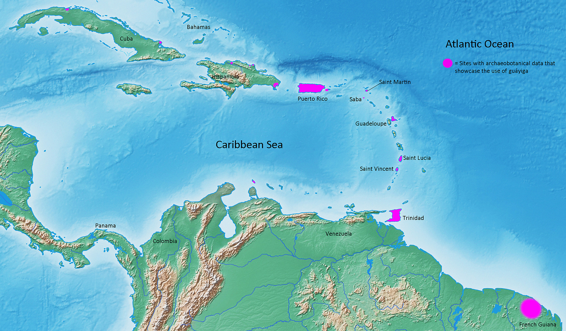 Un antiguo alimento caribeño muy nutritivo, pero peligroso - Leiden ...
