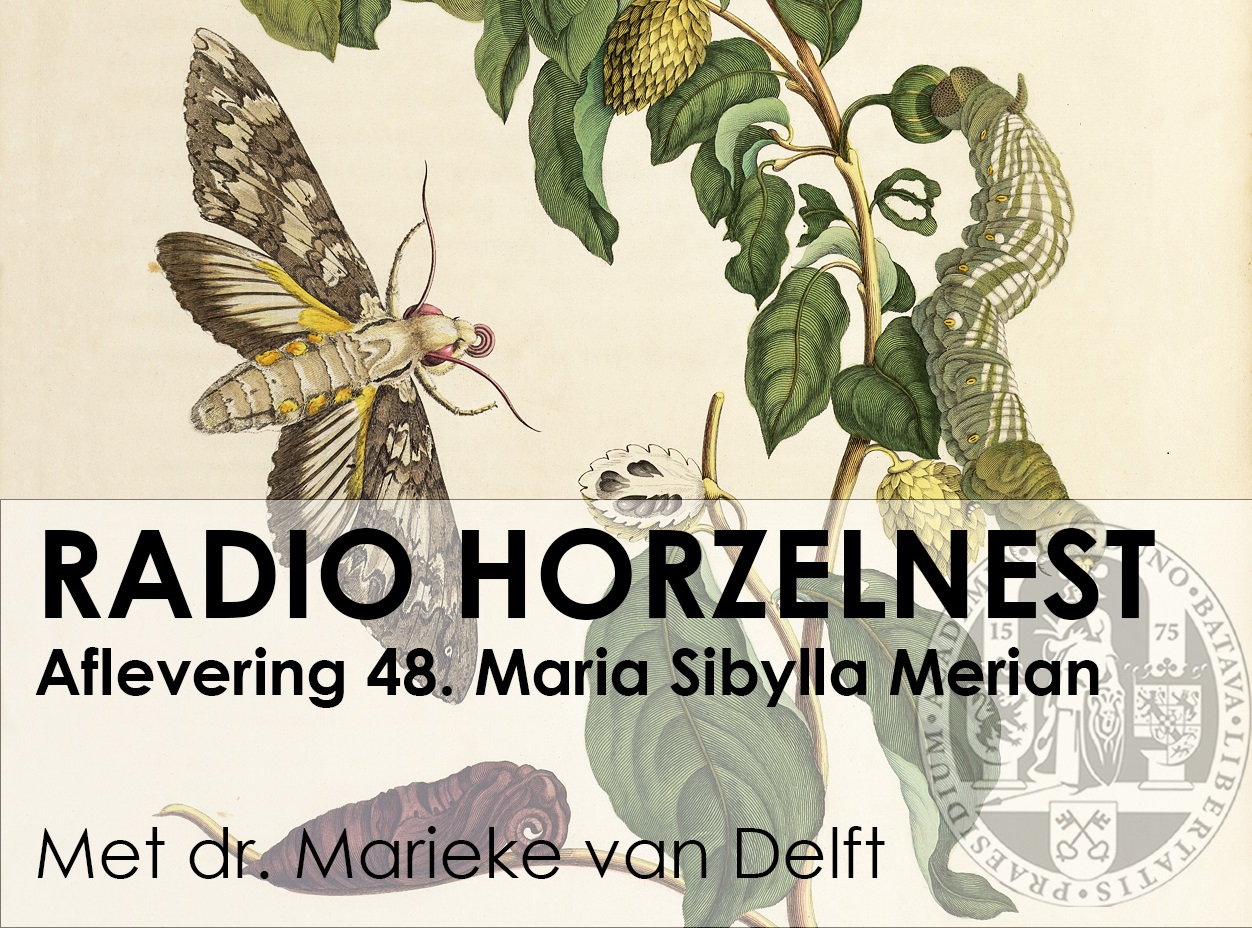 Aflevering 48: Maria Sibylla Merian - Universiteit Leiden