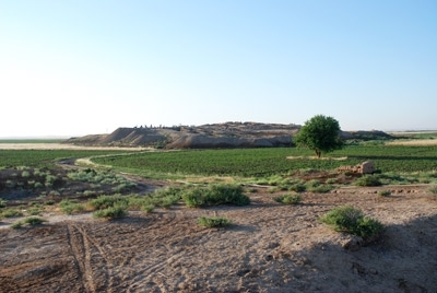 Tell Sabi Abyad (Syria) - Leiden University