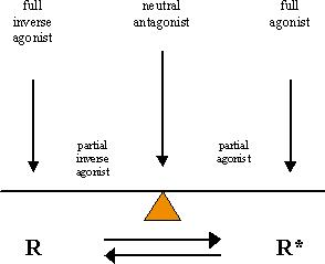 Inverse Agonism and Constitutive Activity - Leiden University