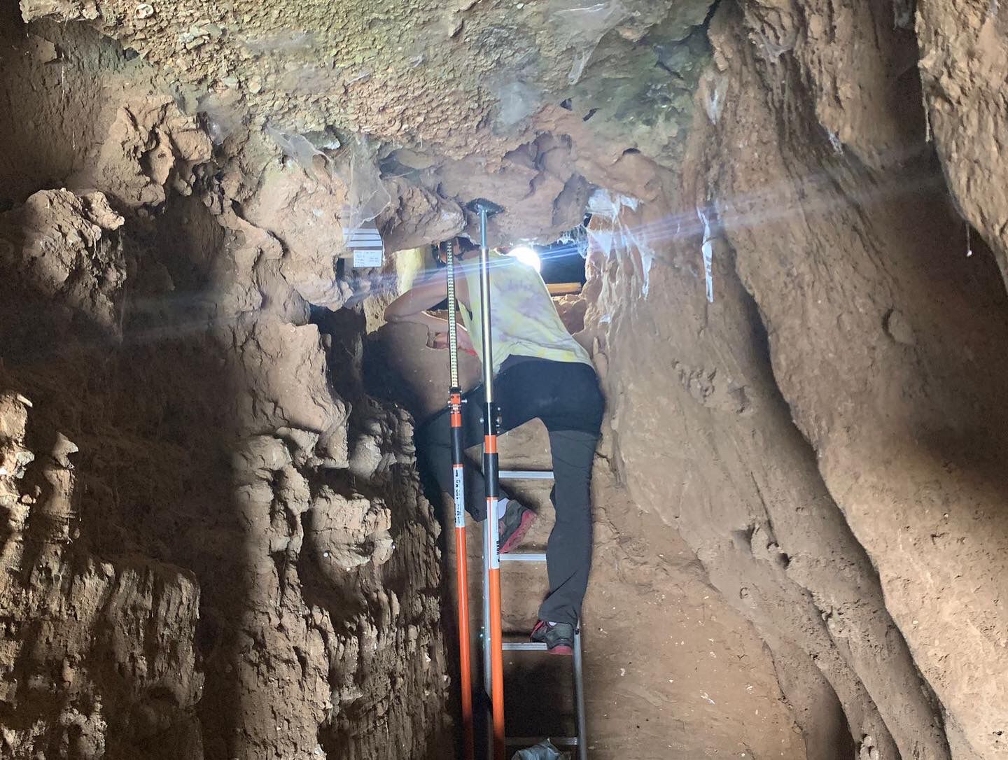 Archaeologists in action: stories from the field - Leiden University