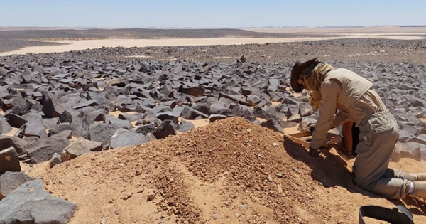 Archaeologists in action: stories from the field - Leiden University