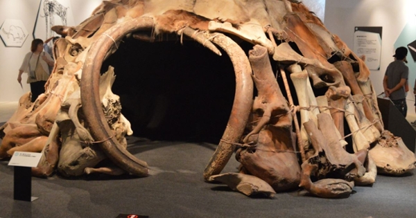 Ice age architecture: how mammoth bones reveal human ingenuity - Leiden ...
