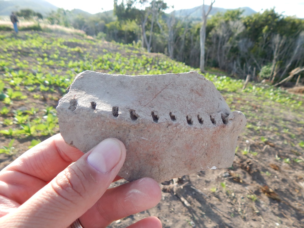 Contested landscapes in the age of encounter - Leiden University