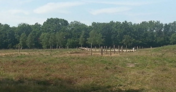 European Prehistory - Leiden University