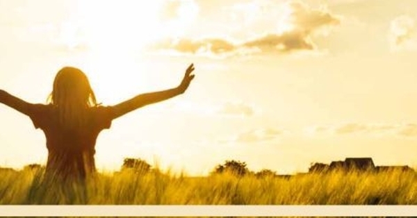 D-lightful Sunshine Disrupted - Leiden University