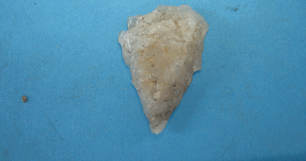 Digging into stone age secrets - Leiden University