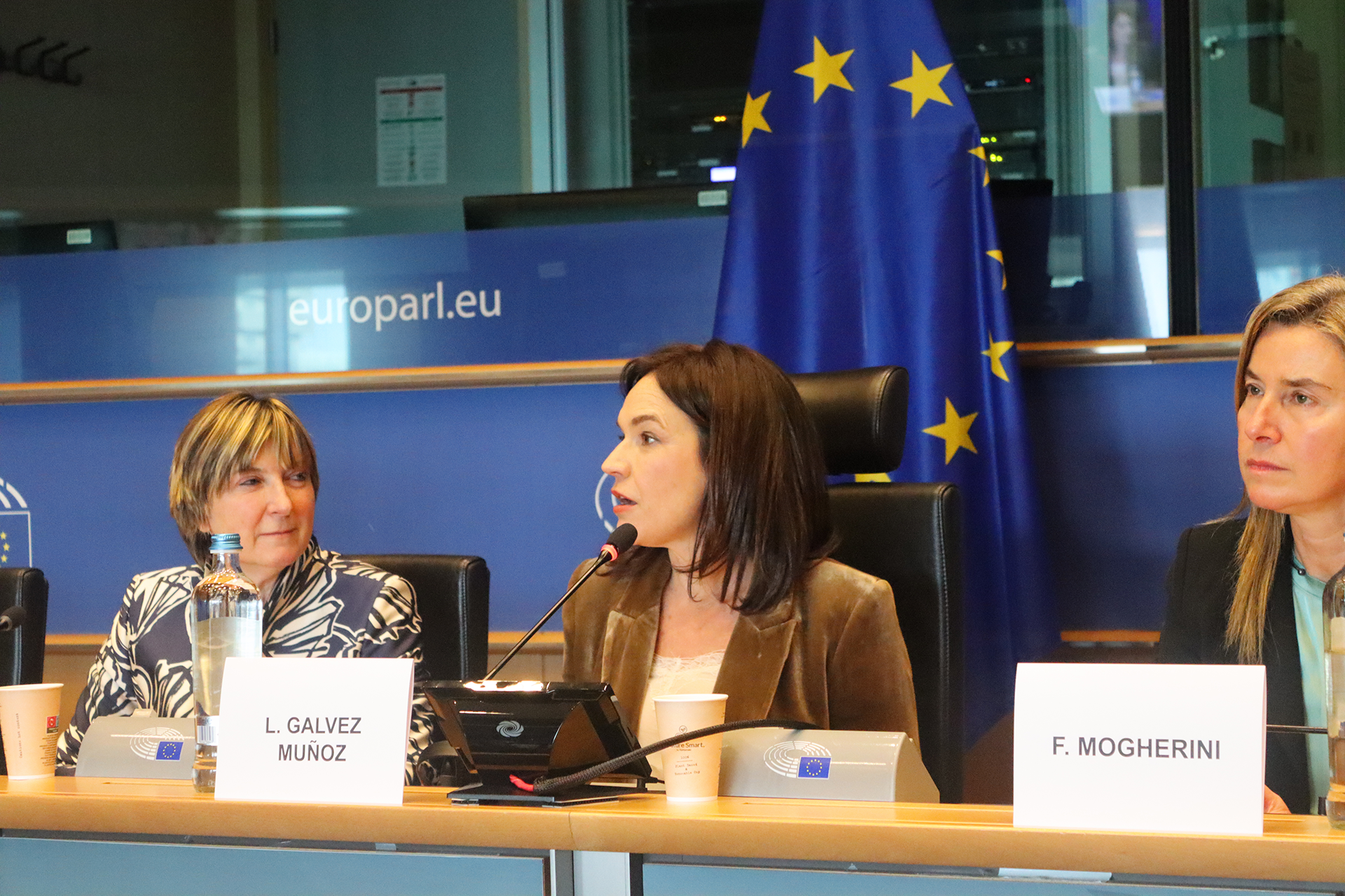 Europe Hub launched in European Parliament: ‘A bridge between research ...