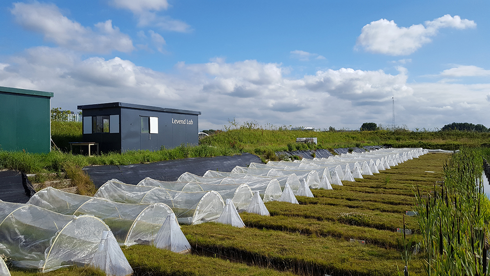 More realistic research needed on substances that enter the environment ...