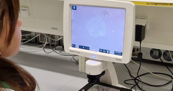 Curing diseases with lab-grown organs - Leiden University