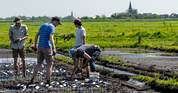 Op bezoek in het polderlab: meer diverse en weerbare landbouw creëren - Universiteit Leiden