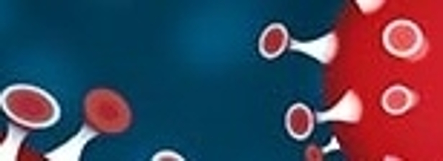 Leidse samenwerking ondersteunt ontwikkeling vaccin tegen coronavirus ... Leidse samenwerking ondersteunt ontwikkeling vaccin tegen coronavirus ...