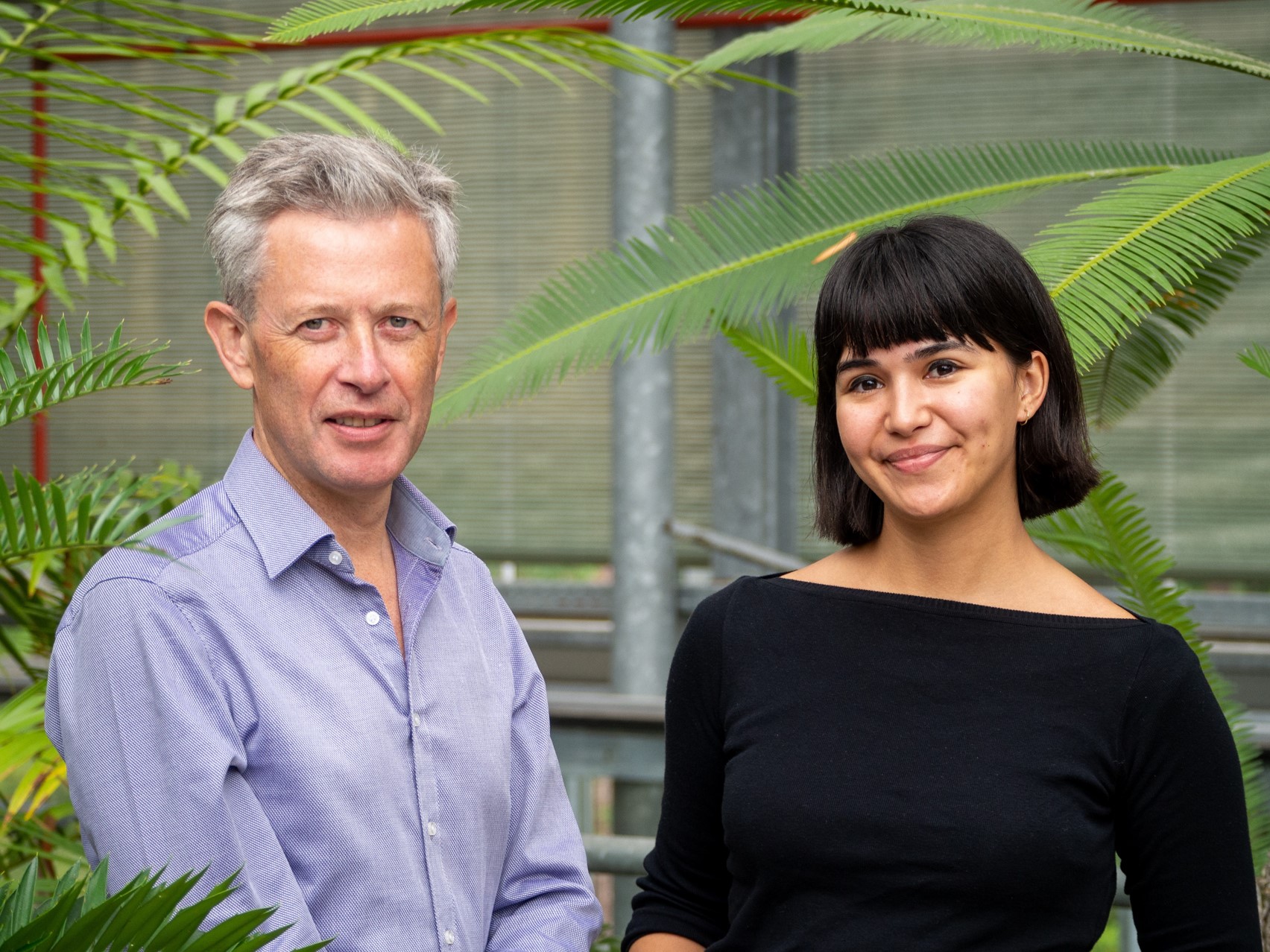 As old as the road to Rome: 'Fake news was already to be found in ...