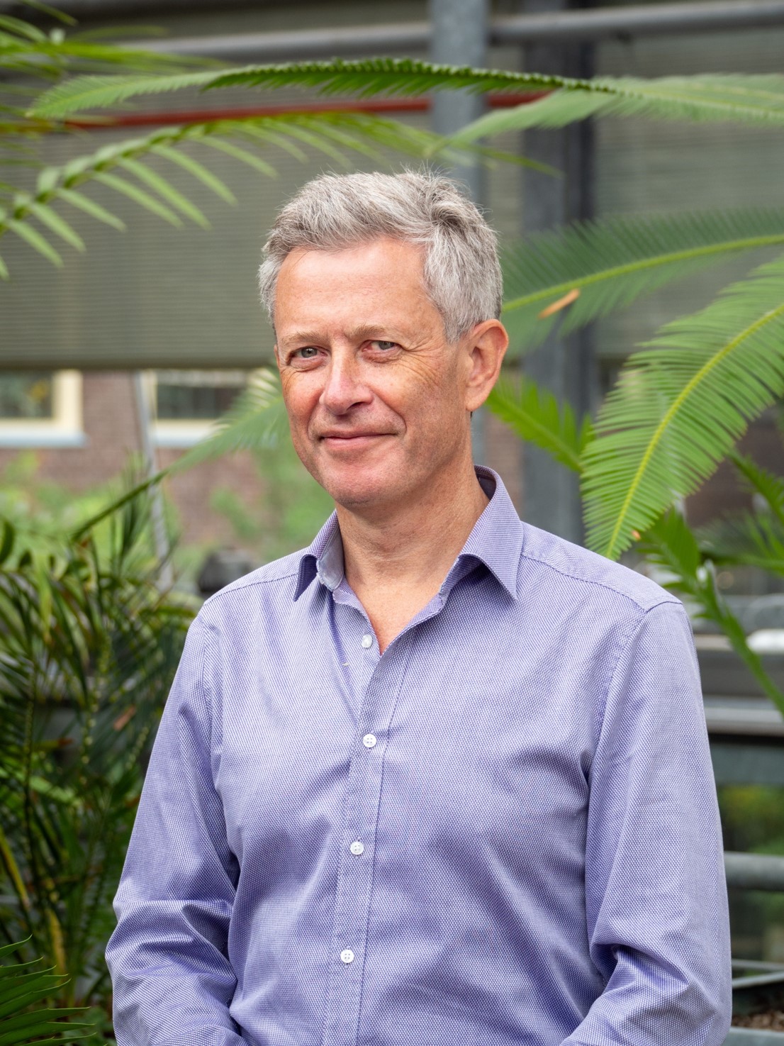 As old as the road to Rome: 'Fake news was already to be found in ...