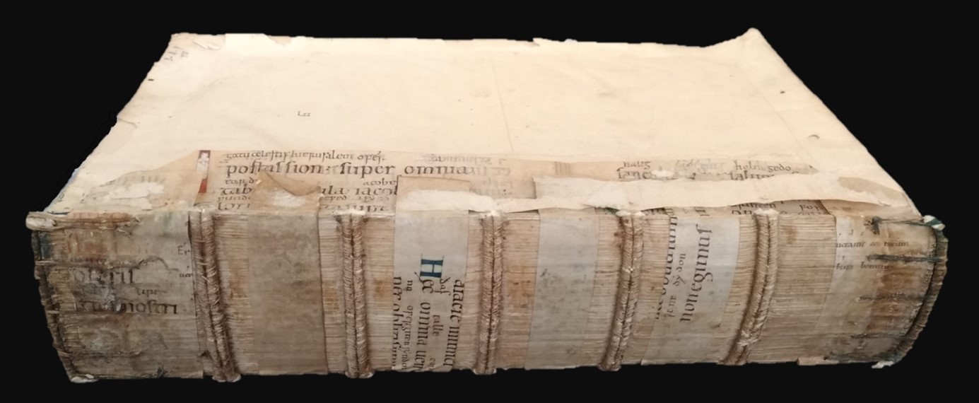 A princess’s psalter recovered? Pieces of a 1,000-year-old manuscript ...