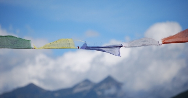 Berthe Jansen receives Early Career Award for research into ancient ...