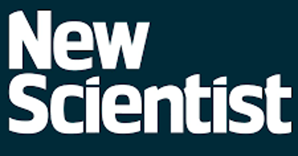 Judith Pollmann in New Scientist: ‘Geschiedenis Tachtigjarige Oorlog ...