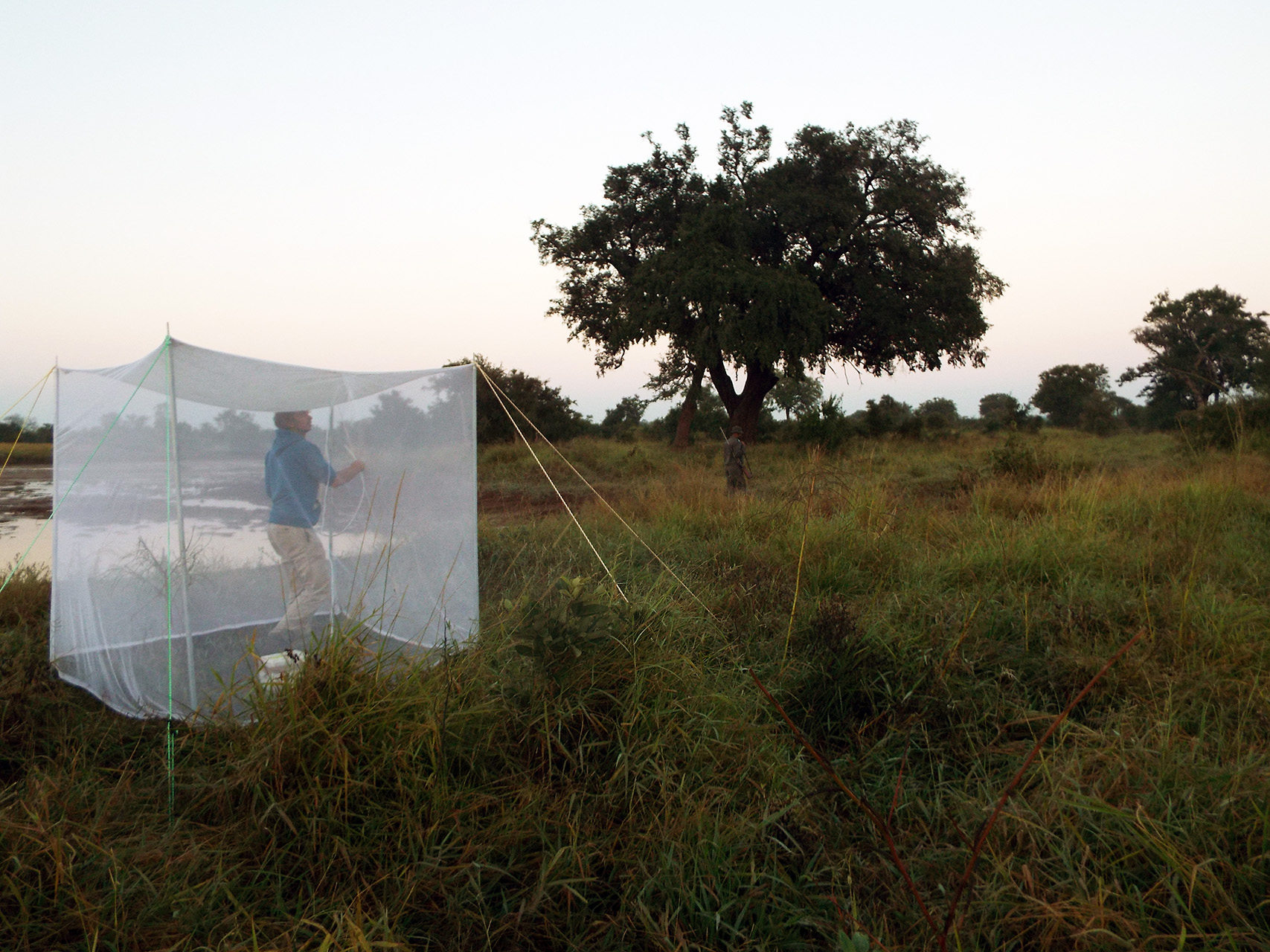 Human disturbance of ecosystems leads to increase in disease ...