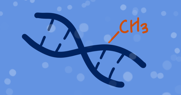 New eDNA method opens doors for environmental research - Leiden University