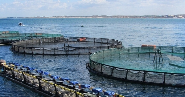 EU-FP7 project IDREEM featured on Euronews TV - Leiden University