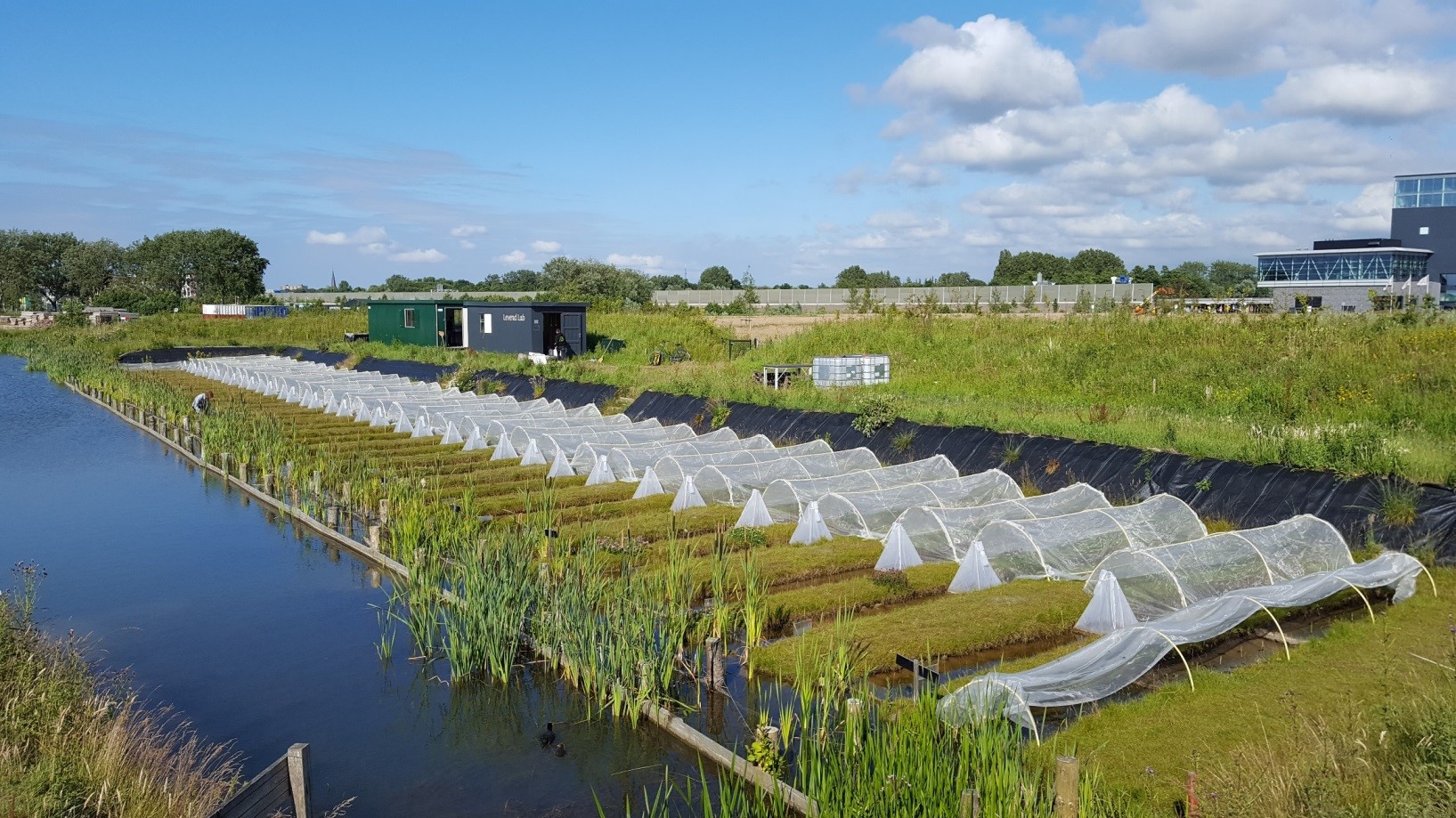 Research at the Living Lab - Leiden University