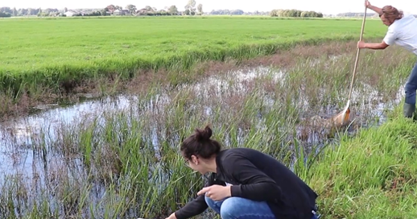 Polderlab: ‘Showroom van de toekomst’ - Universiteit Leiden