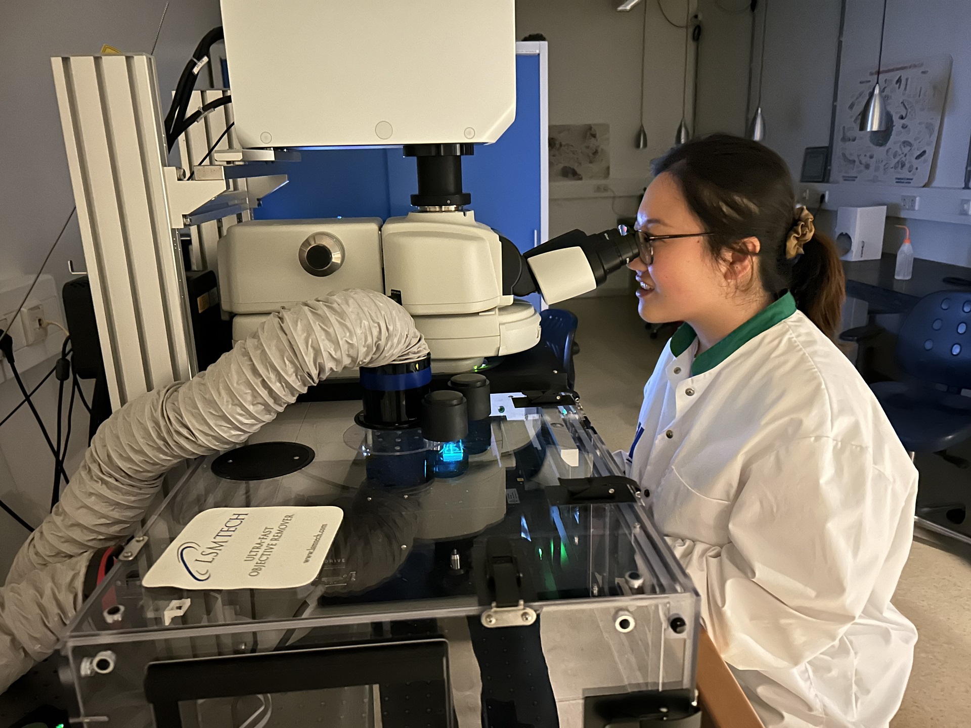 Leiden biologists find nanoplastics in developing heart - Leiden University