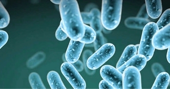 Awaken sleeping antibiotics with ERC Advanced grant - Leiden University