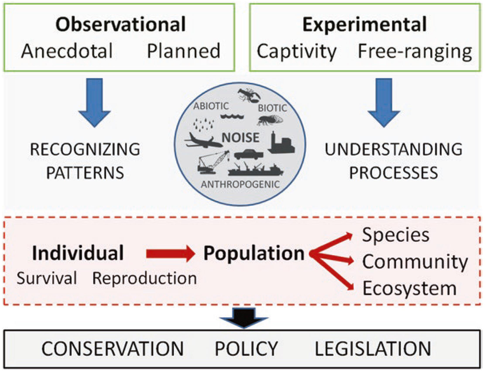 The effects of anthropogenic noise - Leiden University