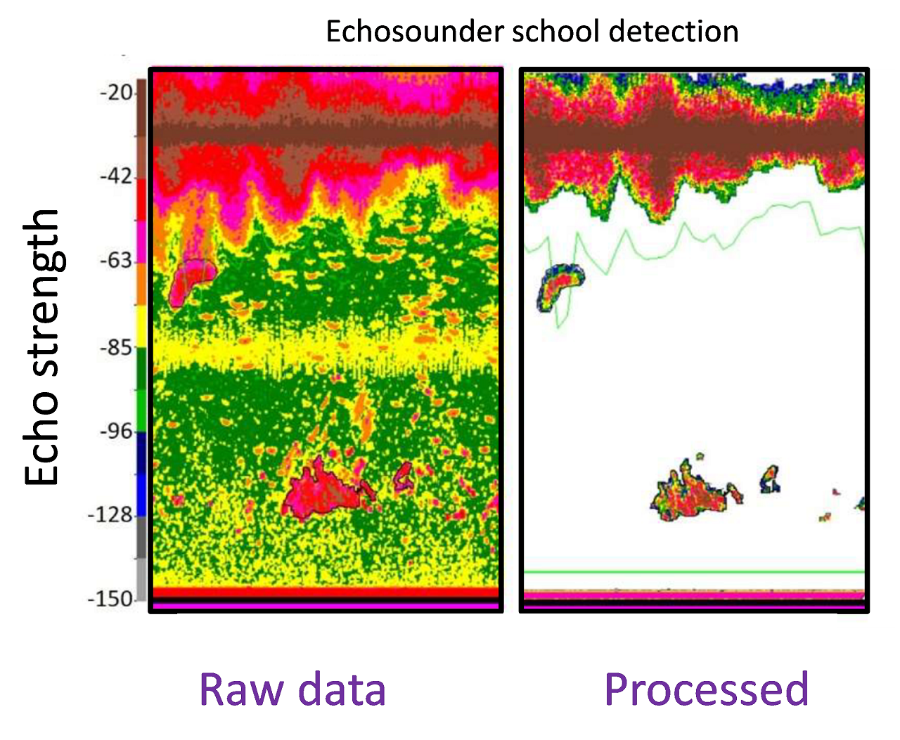 APELAFICO: Acoustic ecology of PELAgic FIsh COmmunities: A study into ...