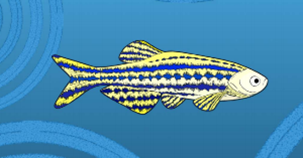 The noisy underwater world: the effect of sound on behaviour of captive ...