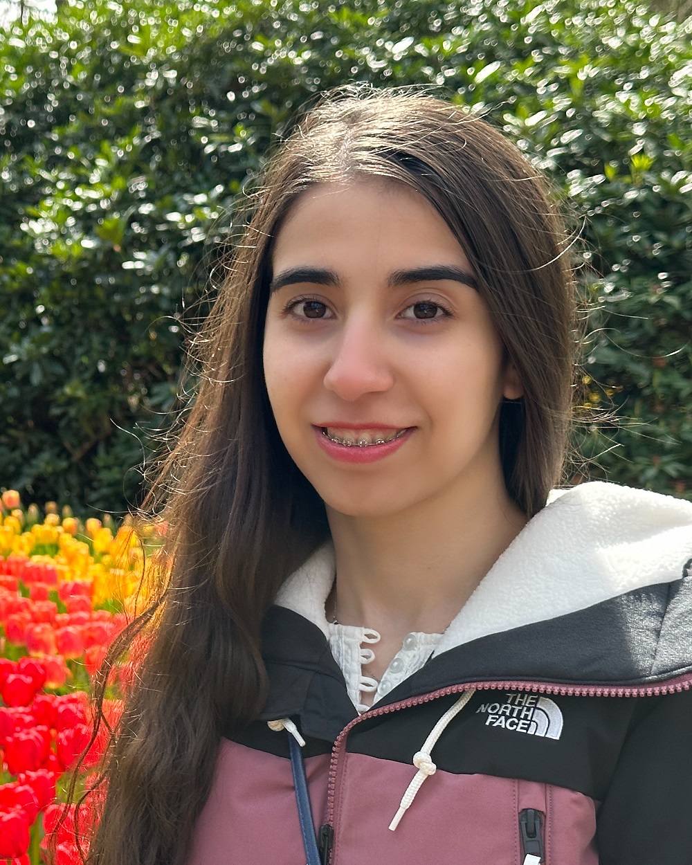 Todor Stefanov - Leiden University