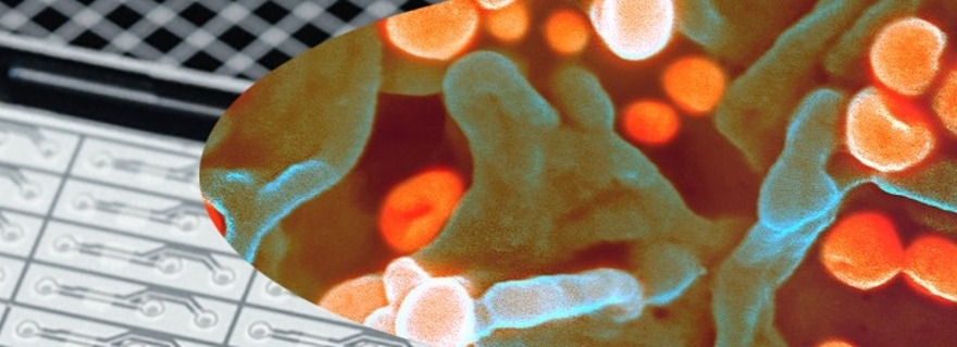 Bio-inspired engineering to fight emerging viral diseases - Leiden ...