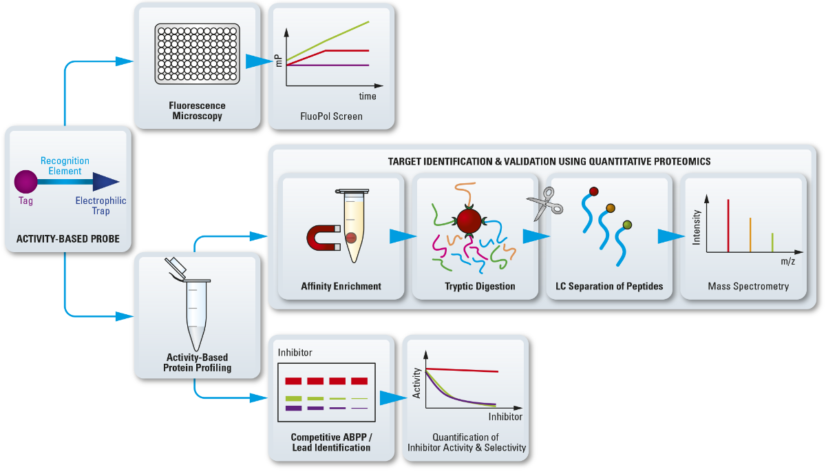 Activity Based Protein Profiling For Drug Discovery Leiden University