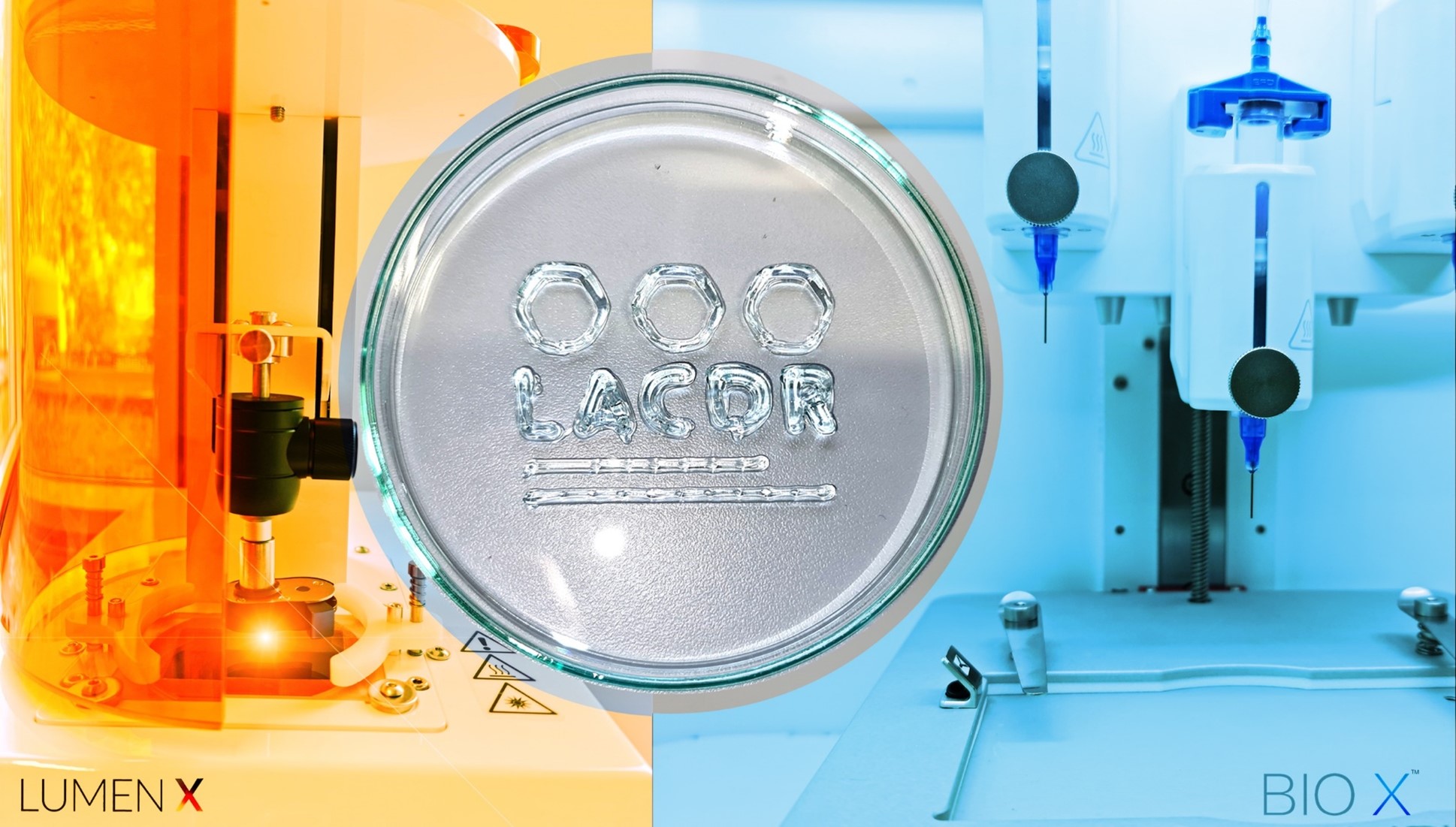 Bioprinting human tissues for drug testing - Leiden University