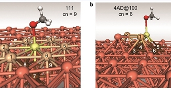 Towards a comprehensive and predictive theory of catalysis based on ...