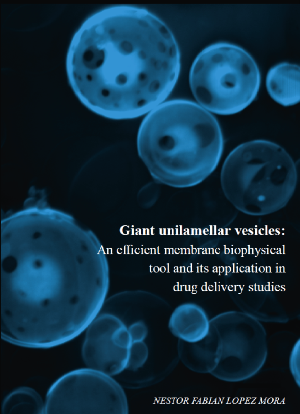 Giant unilamellar vesicles: An efficient membrane biophysical tool and ...