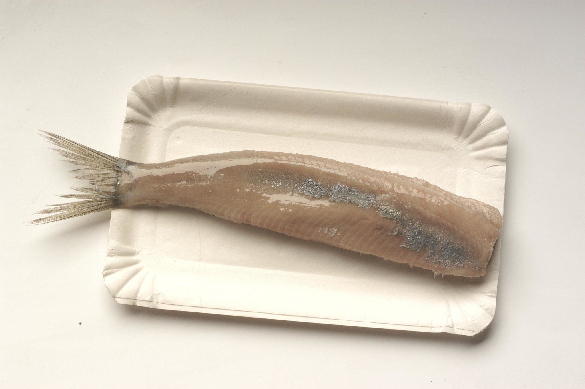 Haring moet je aan de kust eten en niet in Maastricht - Universiteit Leiden