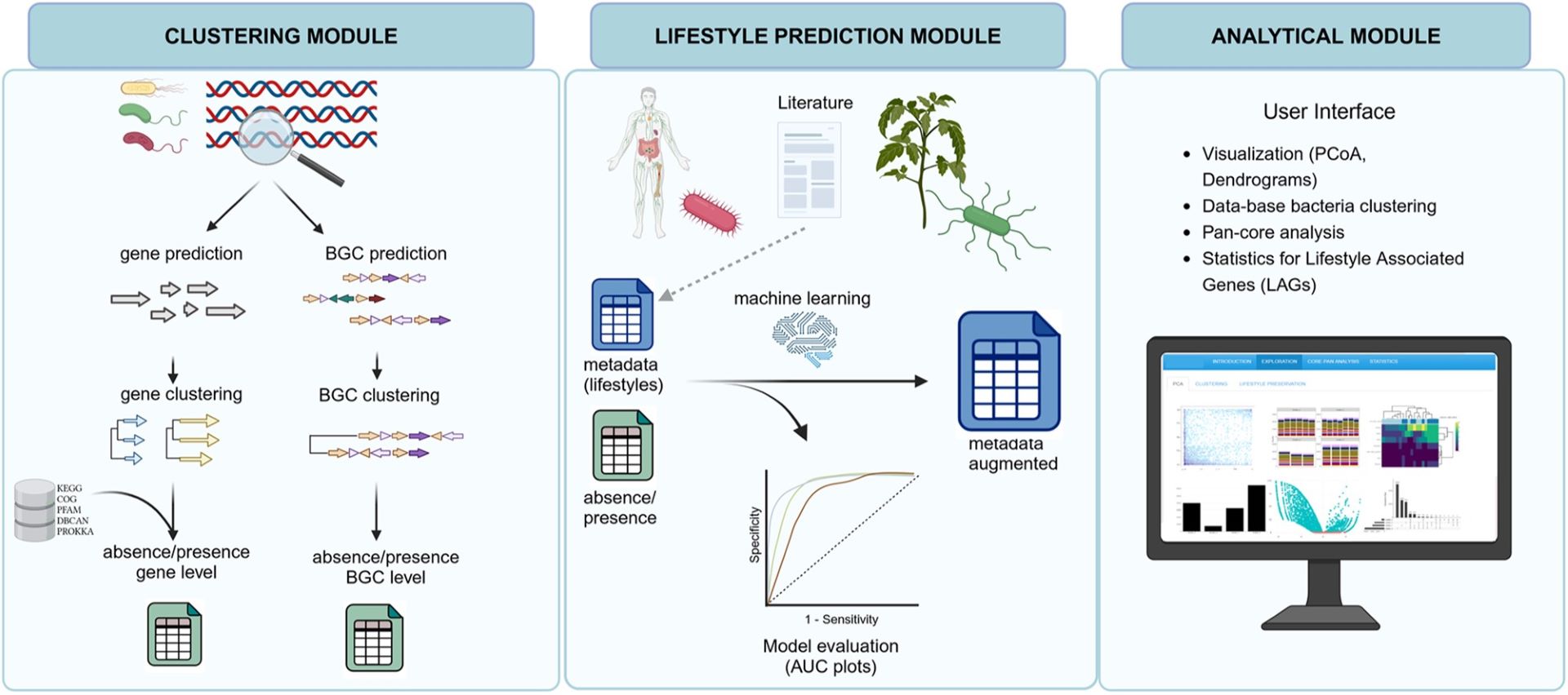 A computational tool that will transform bacterial genome analysis - Leiden University
