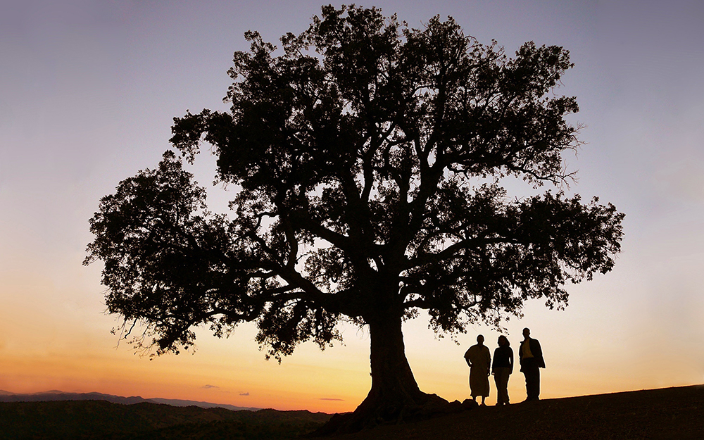 Nature provides more to people than material benefits - Leiden University