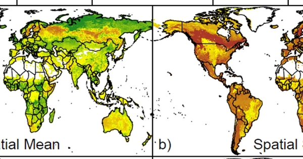 New ecological maps show a wider range of functional diversity - Leiden ...