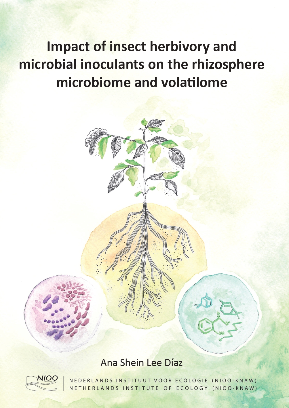 Impact of insect herbivory and microbial inoculants on the rhizosphere ...