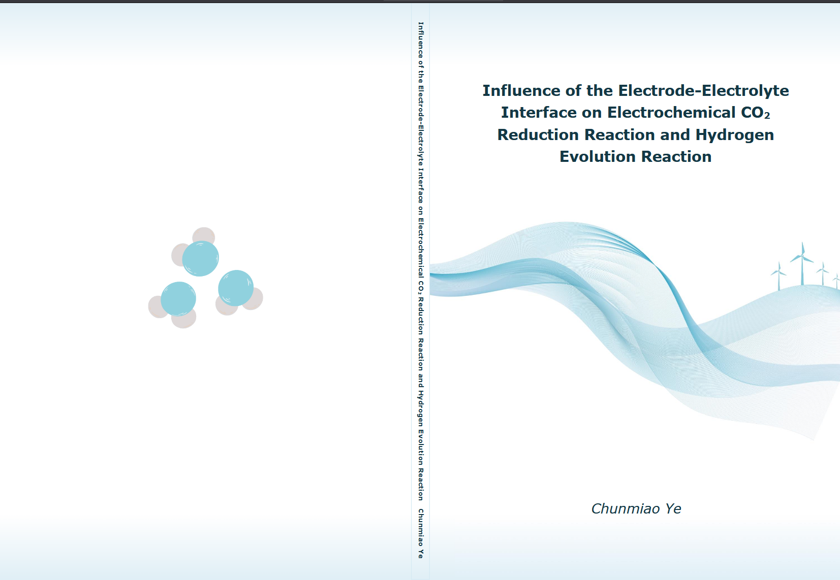 Influence of the electrode-electrolyte interface on electrochemical CO2 ...