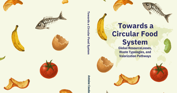 Towards a Circular Food System: Global Resource Losses, Waste ...