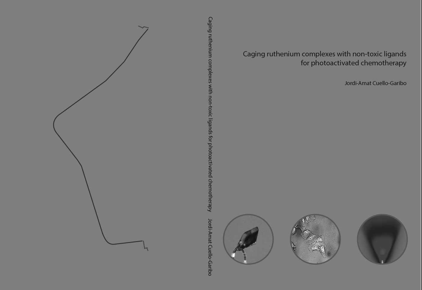 Caging ruthenium complexes with non-toxic ligands for photoactivated ...