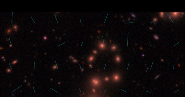 The alignment of galaxies across all scales - Leiden University